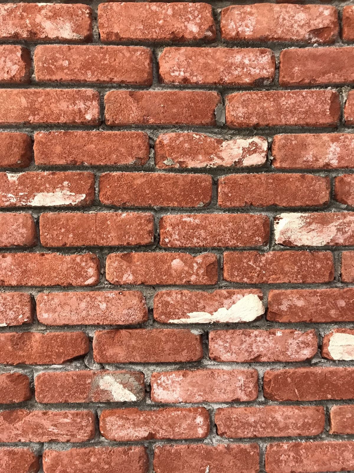 Brick Slips | Middleton Blend Header | Orange | Slips From Stock