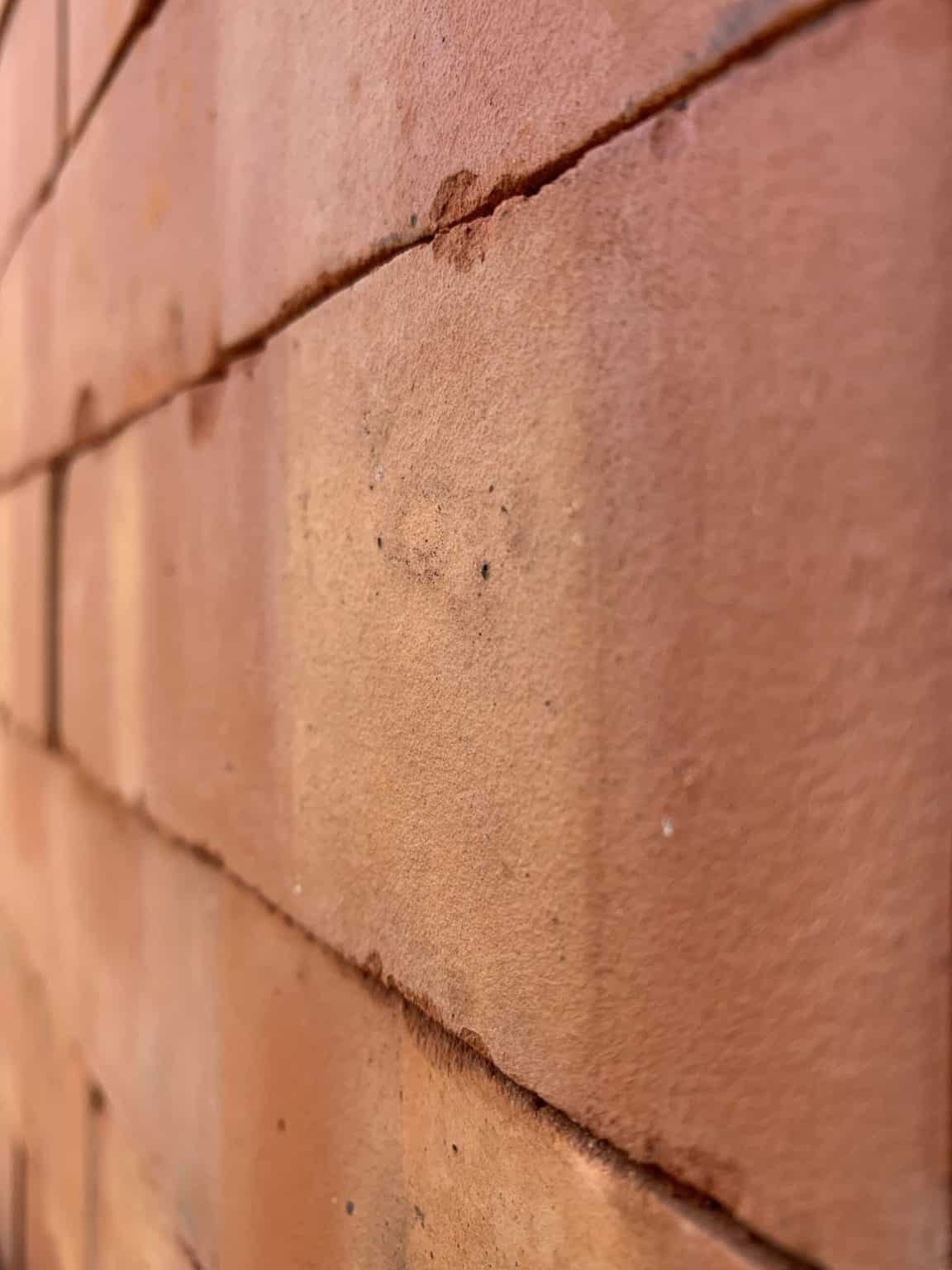 Brick Slips | Traditional Blend Header | Red | Slips From Stock